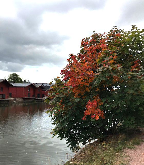 Luonnon taidetta | Itäväylä