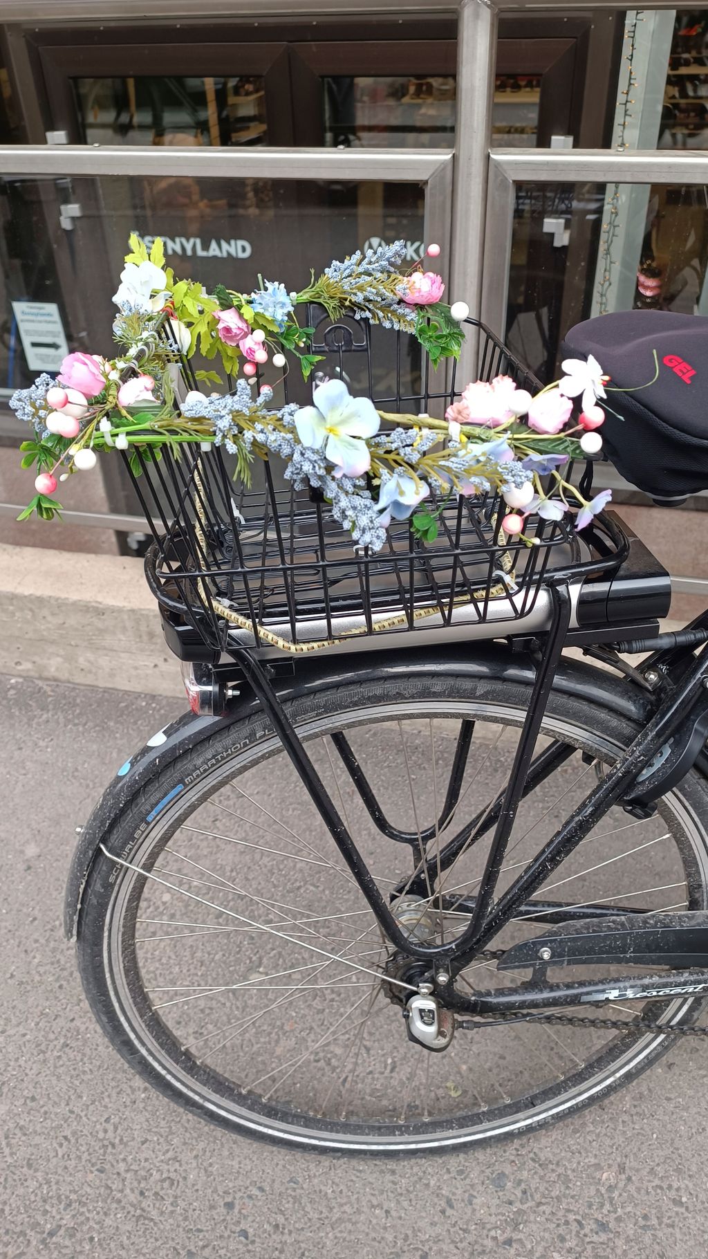 Kaunis tarakka! | Itäväylä