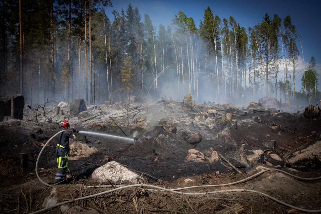 Hehtaari metsää ja hakkuuaukeaa paloi Lapinjärvellä | Itäväylä